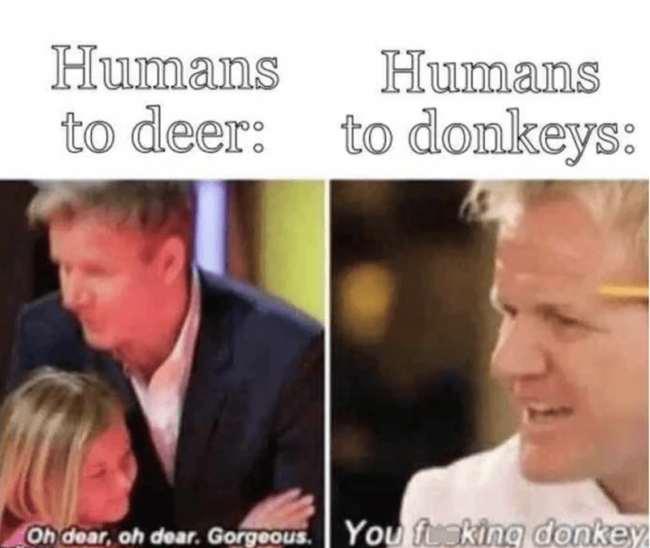 25 Hilarious Times People Used Meme Formats Wrong On Purpose