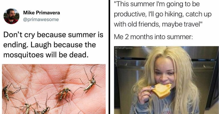 35 Hilarious End Of Summer Memes For People Who Are Ready To Be Done ...