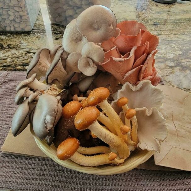 40 Times People Found Something Mildly Interesting Enough To Share In ...