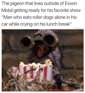 30 Relatable And Funny Memes For Anyone Who Is Comfortable Riding The ...