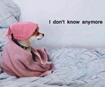 40 Pawsitively Hilarious And Wholesome Dog Memes To Brighten Your Day ...