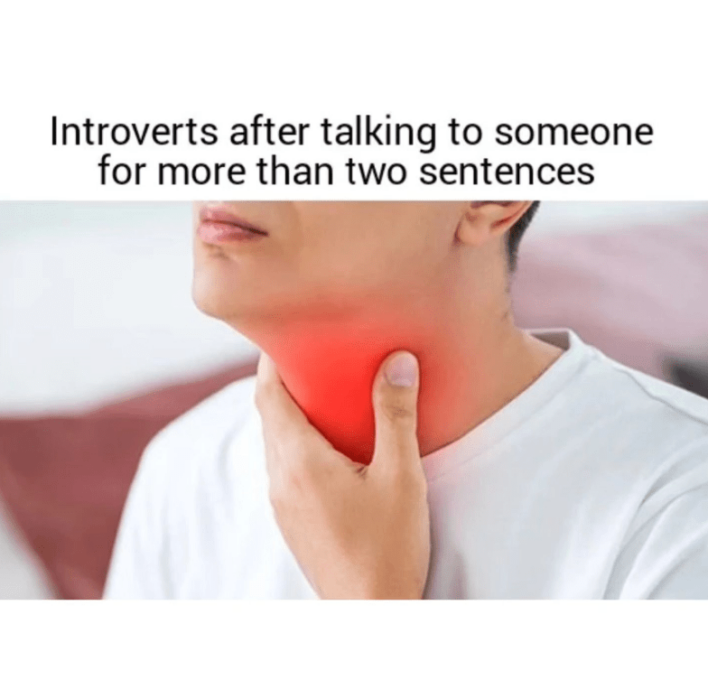 40+ Relatable Introvert Memes For Anti-Socials Who Treat Phone Calls ...