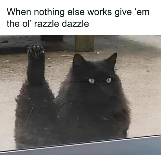 40 Very Relatable Memes From The "Cheerful Nihilism" Page To Help You ...