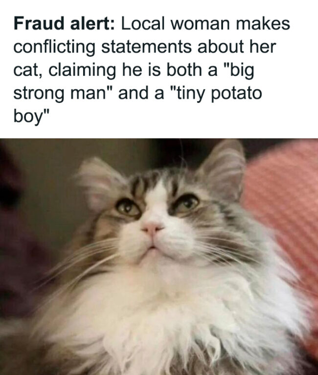 40 Very Relatable Memes From The "Cheerful Nihilism" Page To Help You Get Through Another Day