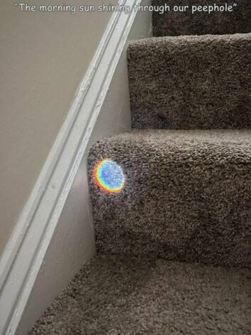 35 Funny And/Or Random Pics To Satisfy Your Need For A Midday Pick-Me ...
