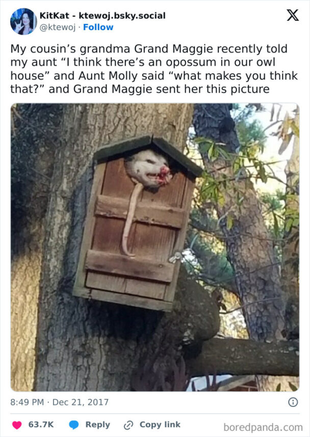 35 Weirdly Adorable Animal Pictures That'll Make You Say "Aww, Wait, WTF?"