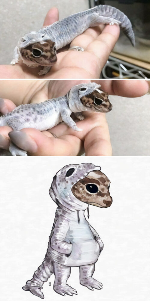 35 Weirdly Adorable Animal Pictures That'll Make You Say "Aww, Wait, WTF?"