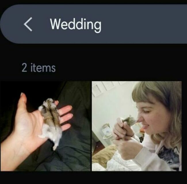 35 Weirdly Adorable Animal Pictures That'll Make You Say "Aww, Wait, WTF?"