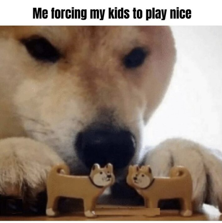 45 Funny Memes For Parents Barely Managing Raising Multiple Kids