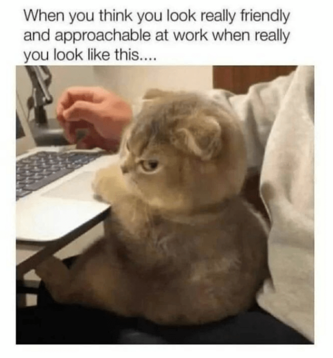 35 Funniest Relatable Work Memes That Helped Us Barely Get Through This ...