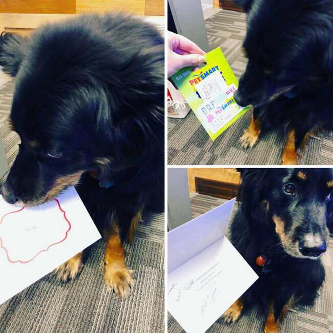 40 Wholesome Bosses Who Show You Can Be Kind And Still Run A Successful ...