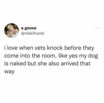 45 Funny Memes Straight From 'Beige Cardigan' On Instagram