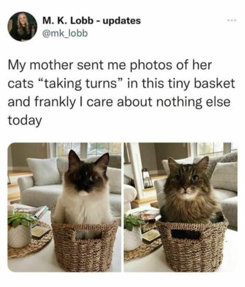 45 Funny Memes Straight From 'Beige Cardigan' On Instagram