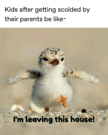 43 Funniest Parenting Memes That Show Why Parents Are Sleep-Deprived ...