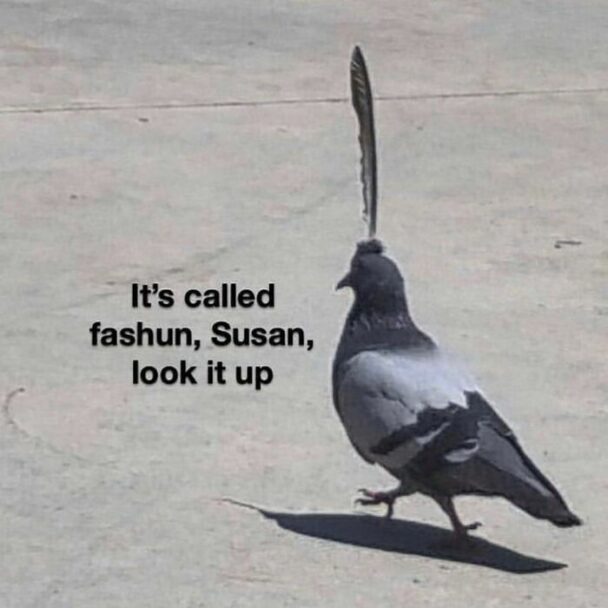 40 Funny Bird Memes That'll Fly With Just About Any Crowd