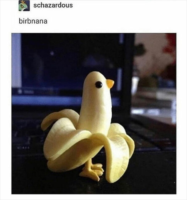 40 Funny Bird Memes That'll Fly With Just About Any Crowd