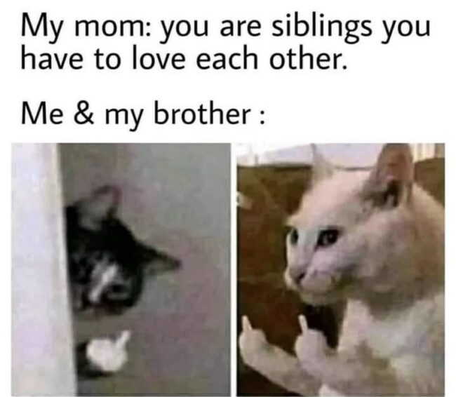 45 Funny Memes For Parents Barely Managing Raising Multiple Kids
