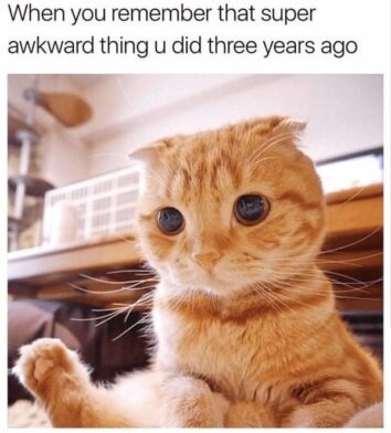 Start Your Work Week Right: 40 Funny Cat Memes For Monday Inspiration ...