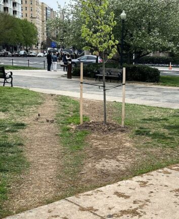 40 Cool Examples From "Desire Path" That Highlight Our Love For ...