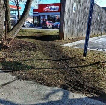 40 Cool Examples From "Desire Path" That Highlight Our Love For ...