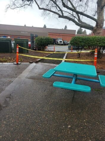 40 Cool Examples From "Desire Path" That Highlight Our Love For ...