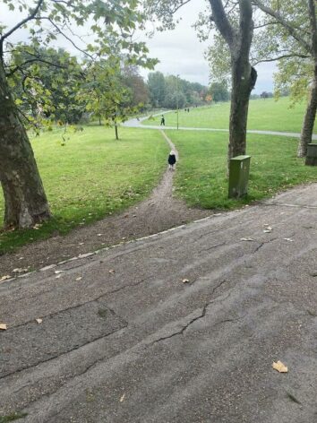 40 Cool Examples From "Desire Path" That Highlight Our Love For ...
