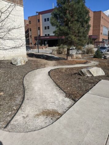 40 Cool Examples From "Desire Path" That Highlight Our Love For ...