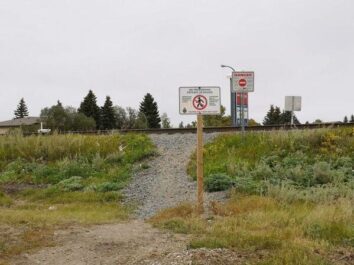 40 Cool Examples From "Desire Path" That Highlight Our Love For ...