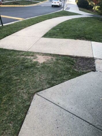 40 Cool Examples From "Desire Path" That Highlight Our Love For ...
