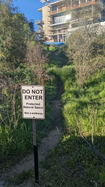 40 Cool Examples From "Desire Path" That Highlight Our Love For ...