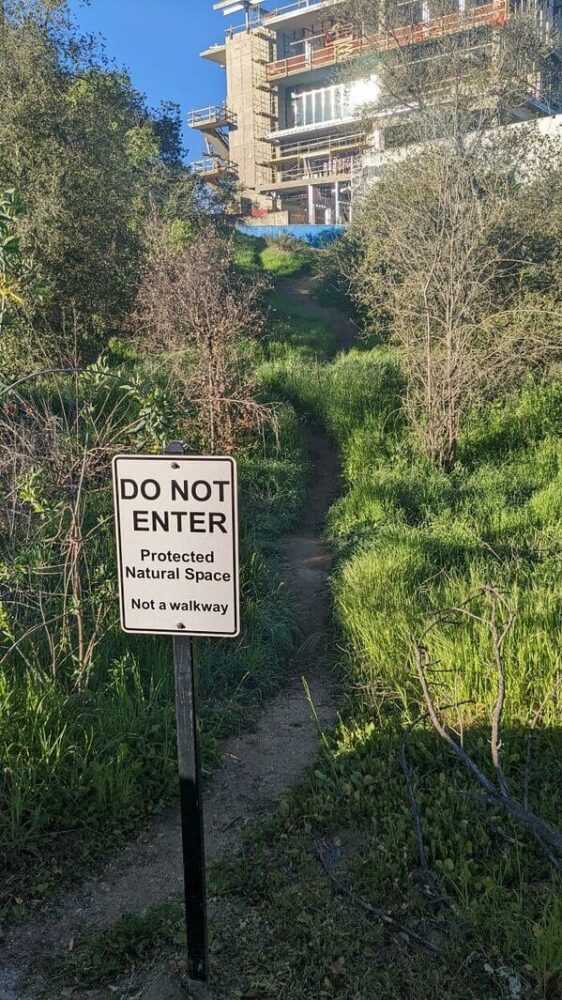 40 Cool Examples From "Desire Path" That Highlight Our Love For ...