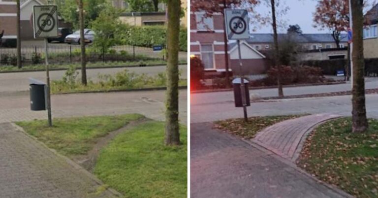 40 Cool Examples From "Desire Path" That Highlight Our Love For ...