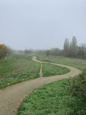 40 Cool Examples From "Desire Path" That Highlight Our Love For ...