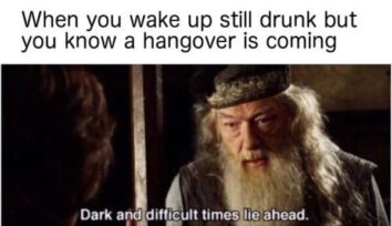40 Funny Drinking Memes You Don't Have To Have A Drinking Problem To ...