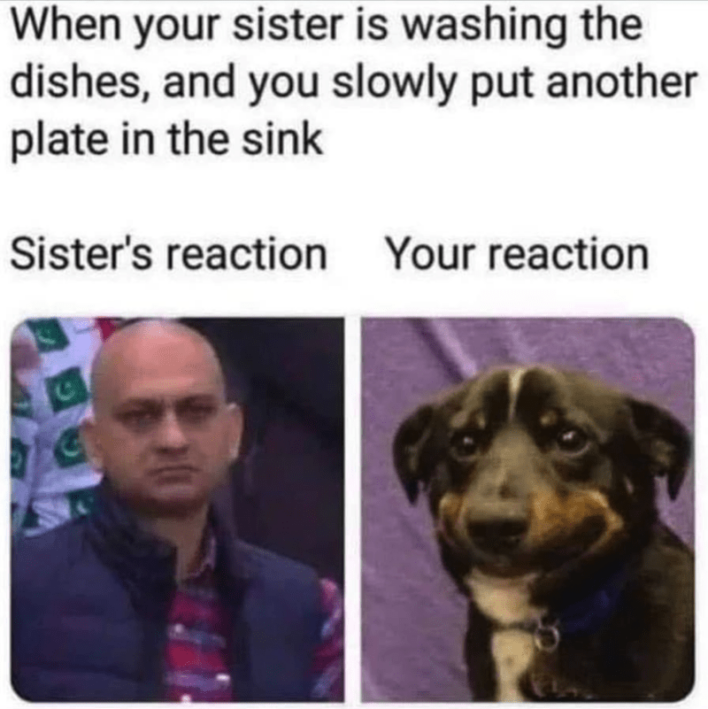 35 Funny Family Memes That Hit Way Too Close to Home