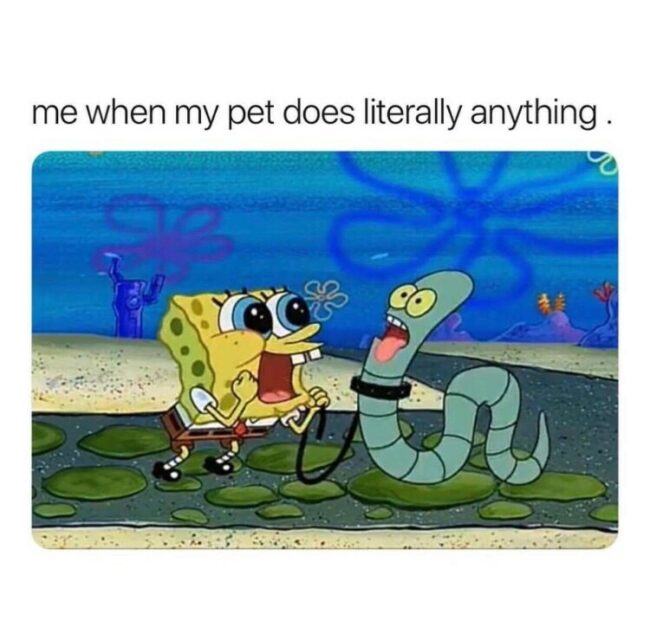 30+ Wholesome Relationship Memes To Show You There's Still Romance In ...