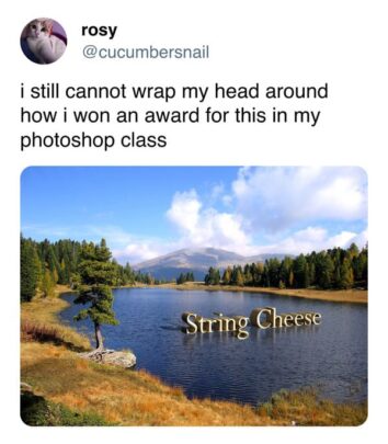 40 Incredibly Dumb Pictures That Still Made Me Laugh Out Loud This Week