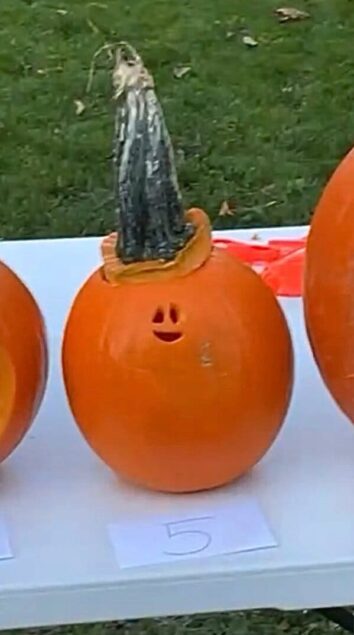 40 Incredibly Dumb Pictures That Still Made Me Laugh Out Loud This Week