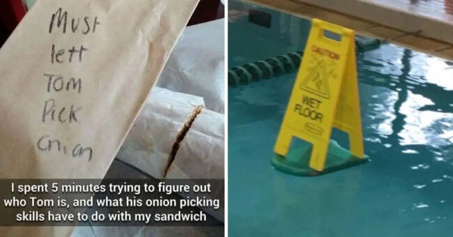 35 Incredibly Dumb Pictures That Still Made Me Laugh Out Loud This Week ...