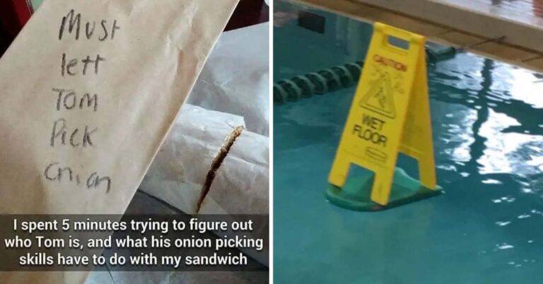 35 Incredibly Dumb Pictures That Still Made Me Laugh Out Loud This Week ...