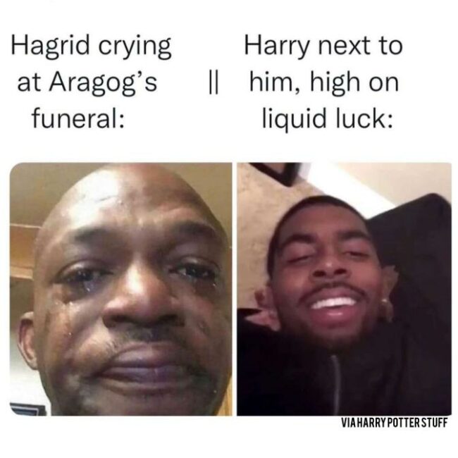 Accio Laughter: Conjuring Up 30+ Of The Most Hilarious Harry Potter ...