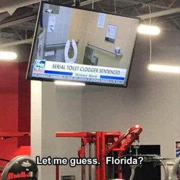 40 Funny Pictures That Prove Humor Is The Best Way To Start Your Week