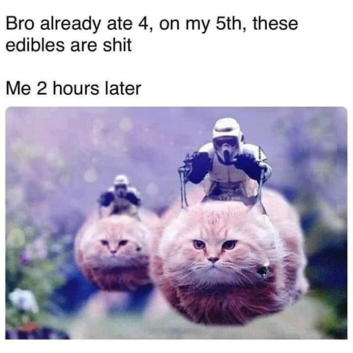 30+ Of The Funniest Sci-Fi Memes From This Week, If You Even Believe ...