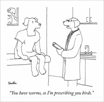 40 Funny Single-Panel Comics By Cartoonist Charlie Hankin