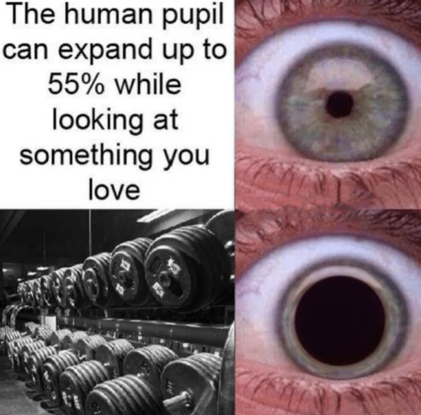 35 Of The Most Pumped Up Workout Memes We Could Sweat Out This Week (October 2, 2023)