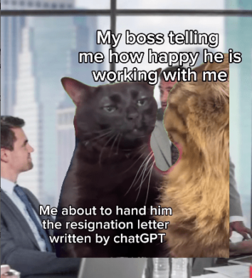 20+ Useless Boss Memes For Everyone Working Under Someone Who Couldn't ...