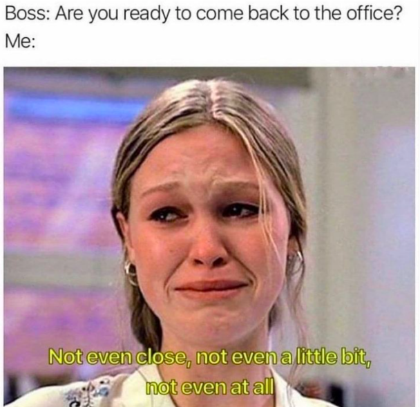 20+ Useless Boss Memes For Everyone Working Under Someone Who Couldn't ...