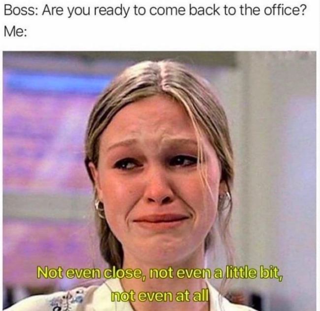 20+ Useless Boss Memes For Everyone Working Under Someone Who Couldn't ...