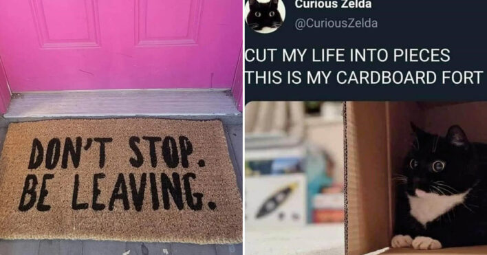 35+ Random Catchy Memes That'll Be Stuck In Your Head The Rest Of The Day