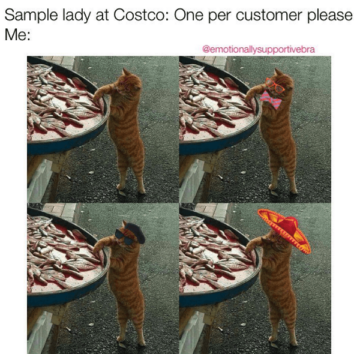 47 Funny Costco Memes Bringing Kirkland Signature Quality Laughs In Bulk